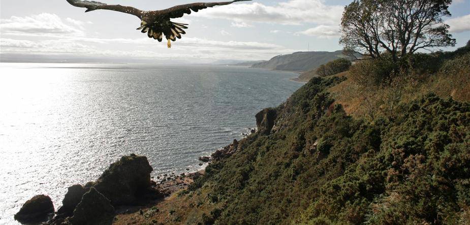 Visit the Black Isle | Visit Fortrose, Dingwall and Cromarty | tour the ...